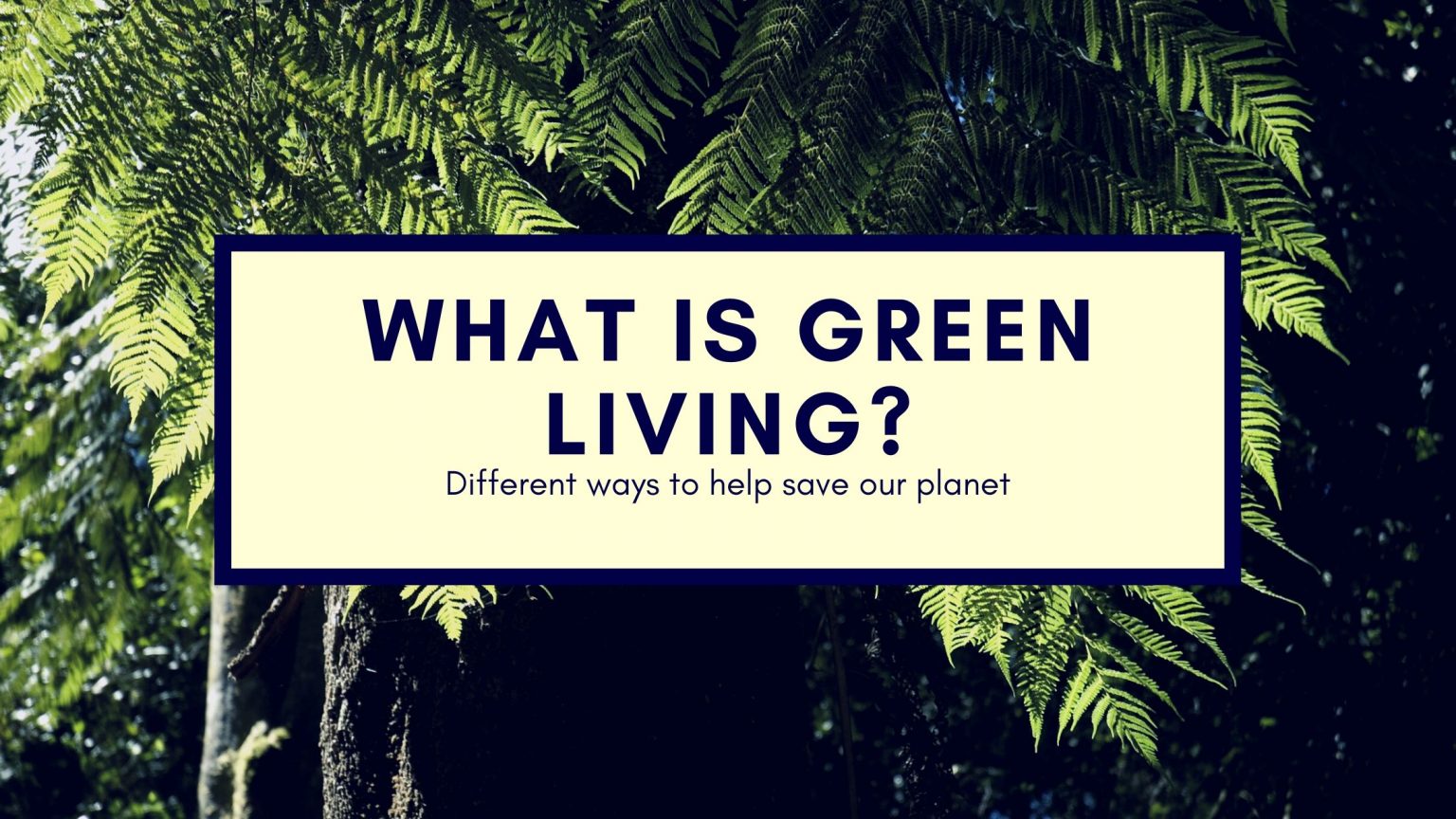 What is Green Living? | Green Living Blog