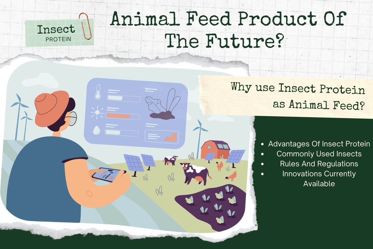 Insect Protein as Animal Feed | Green Living Blog