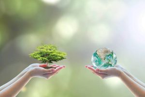 What Is Green Living? | Green Living Blog