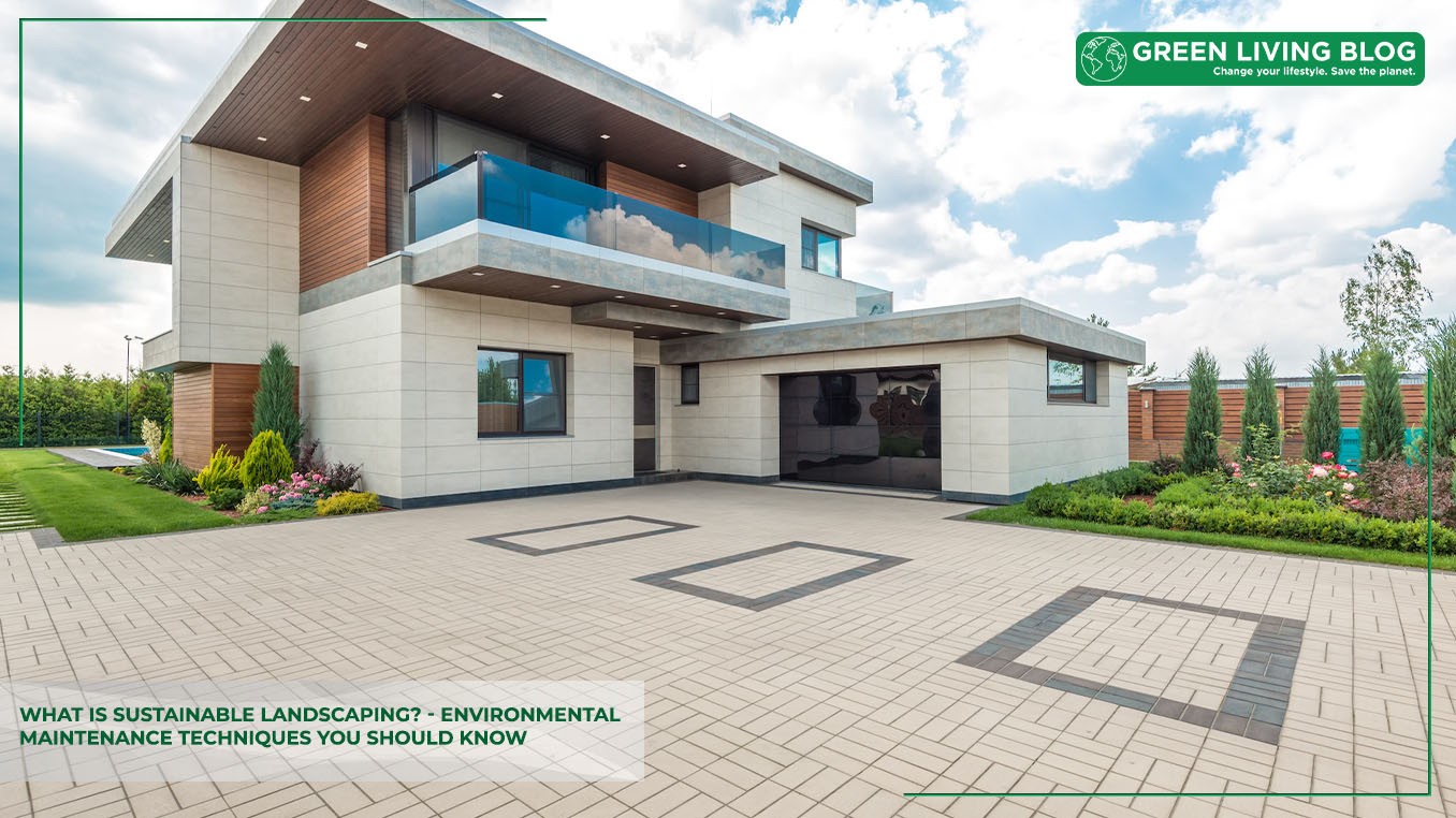 5 Sustainable Landscaping Techniques You Should Know