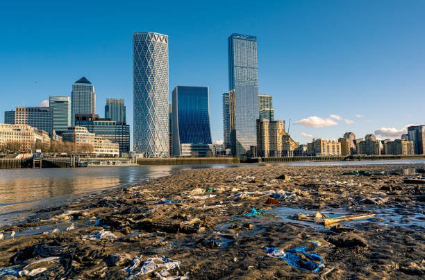 What is Wet Wipe Island and its environmental impact?