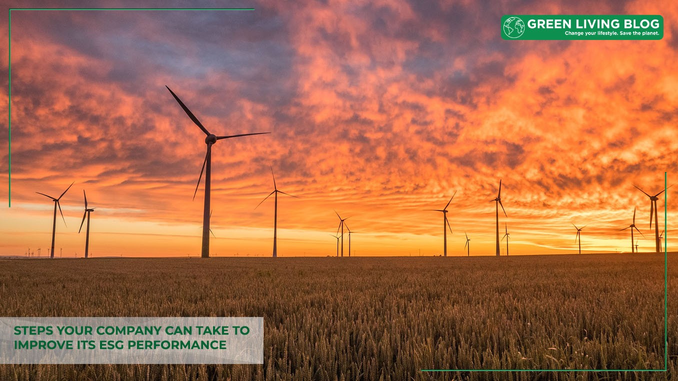 6 Steps Your Company can Take to Improve its ESG Performance