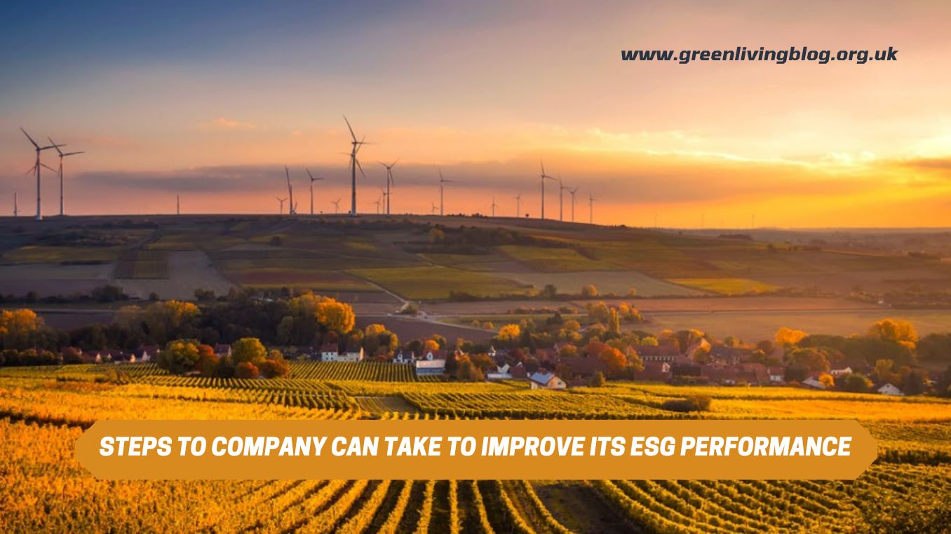 6 Steps Your Company can Take to Improve its ESG Performance