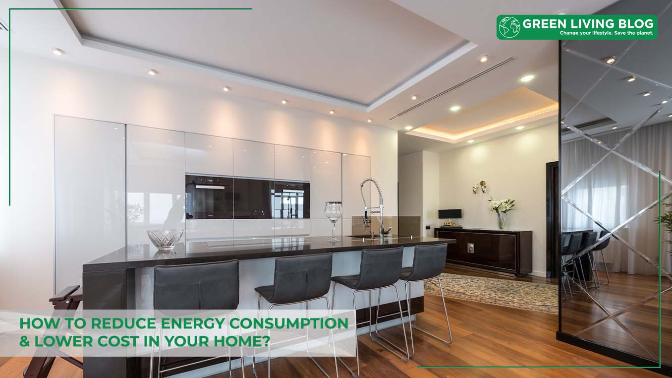 How to Reduce Energy Consumption & Lower Cost in Your Home?