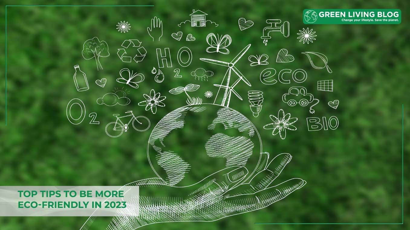 6 Top Tips to live eco-friendlier in the New Year