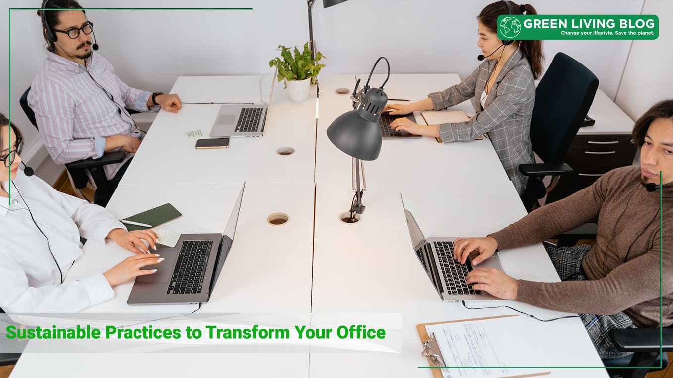 Top 3 Sustainable Practices to Transform Your Office