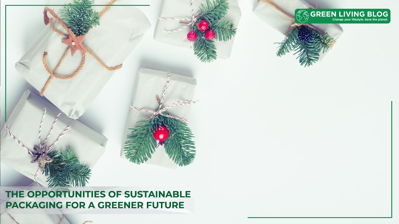 Opportunities of Sustainable Packaging for a Greener Future