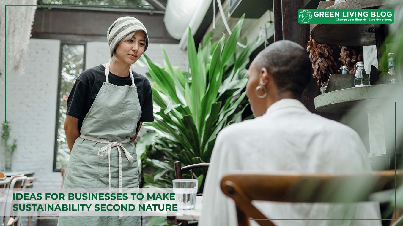 5 Ideas for Businesses to Make Sustainability Second Nature