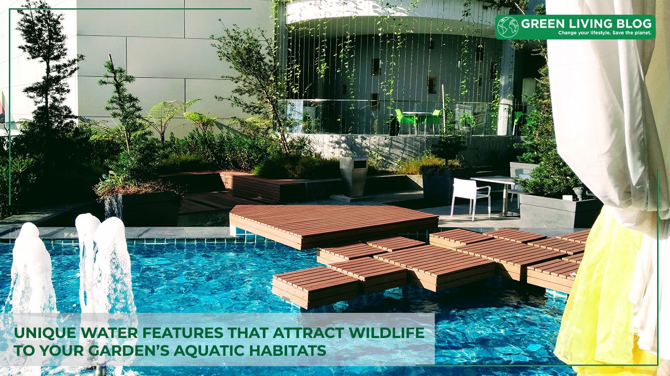 Water features attracting Wildlife in Garden Aquatic Habitat