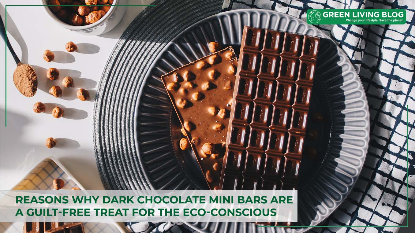 Why Dark Chocolate Mini Bars are Treat for the Eco-Conscious