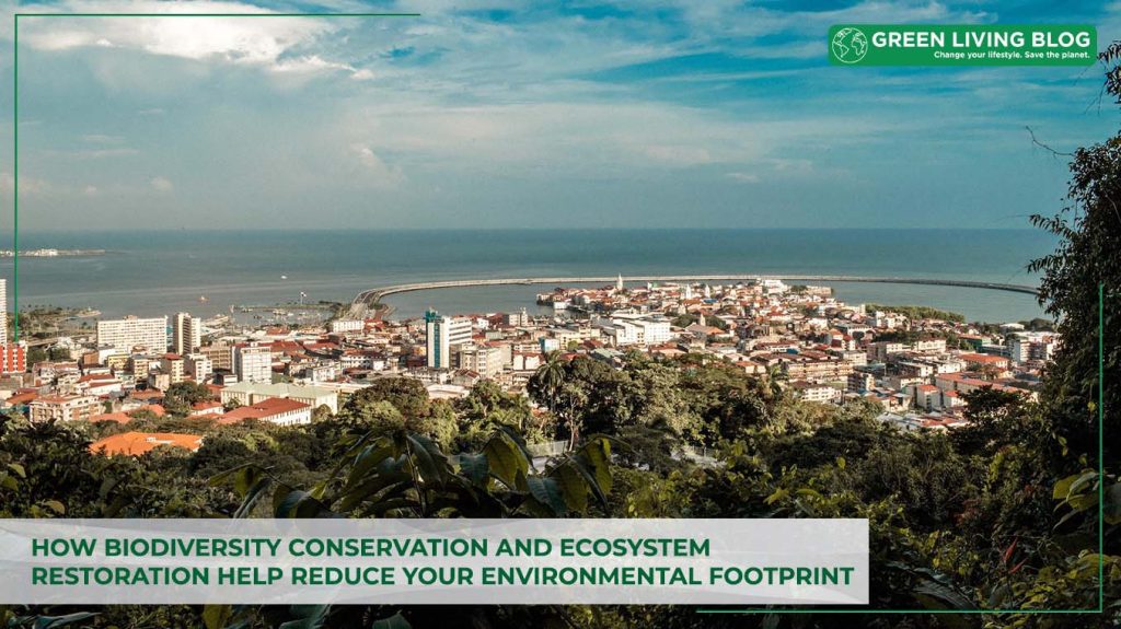 Green Living Blog | Top Eco & Sustainable Living Magazine UK