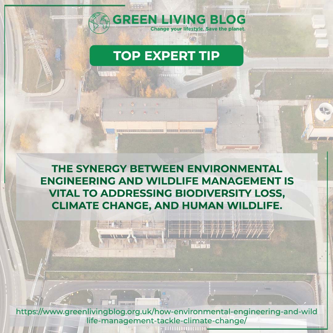 What are Environmental Engineering & Wildlife Management?