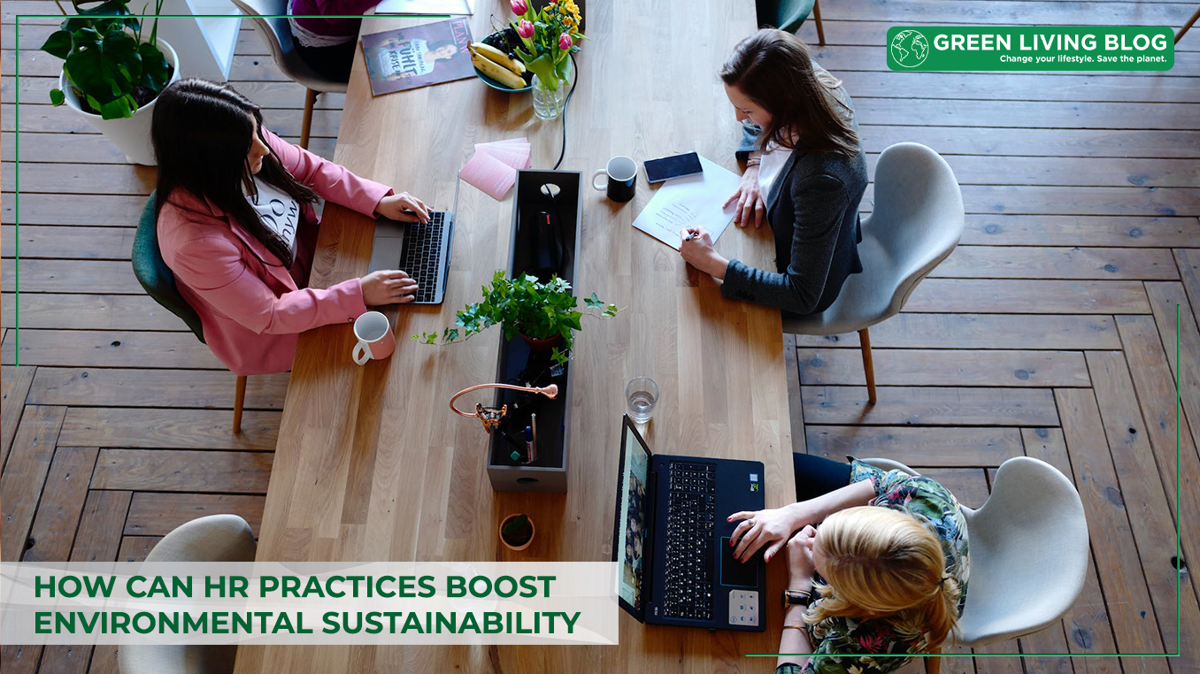 How Can HR Practices Boost Environmental Sustainability