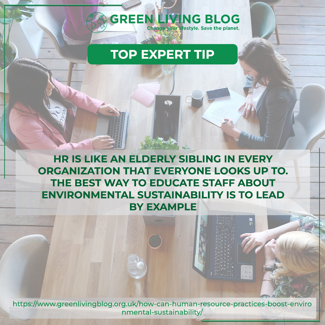 How Can HR Practices Boost Environmental Sustainability