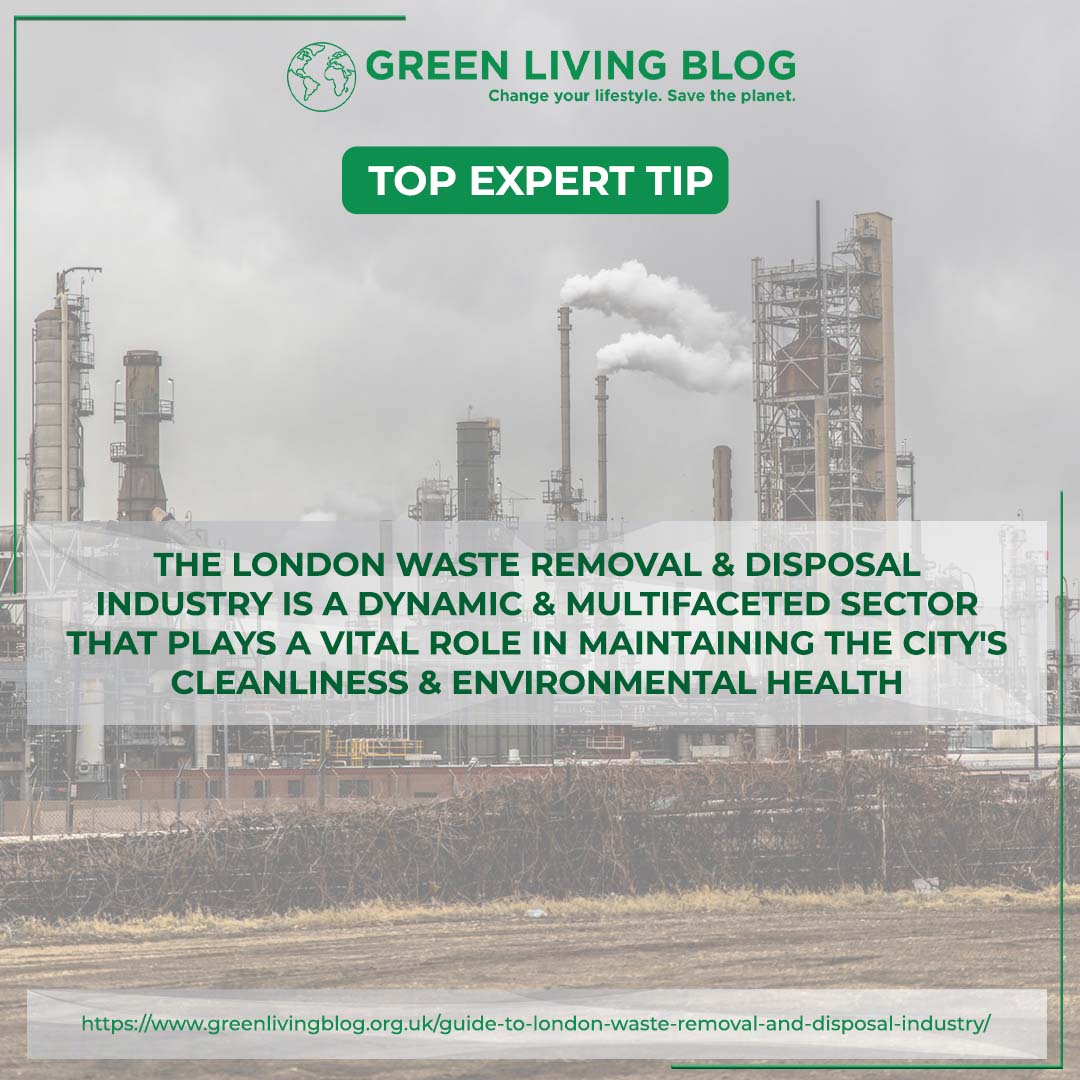 Guide to London Waste Removal and Disposal Industry