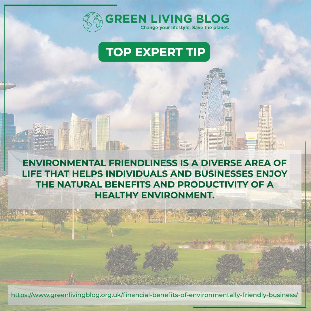 Financial Benefits of an Environmentally Friendly Business