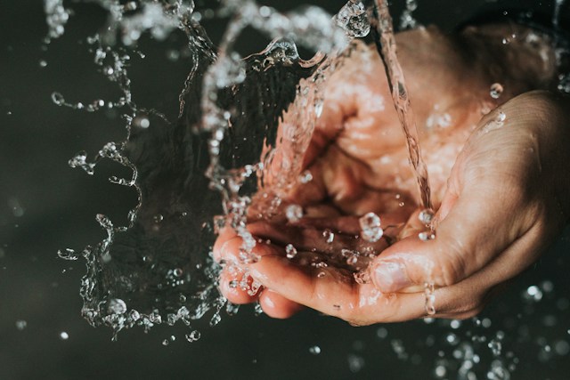 What is Environmental Hygiene & its Impact on Sustainability