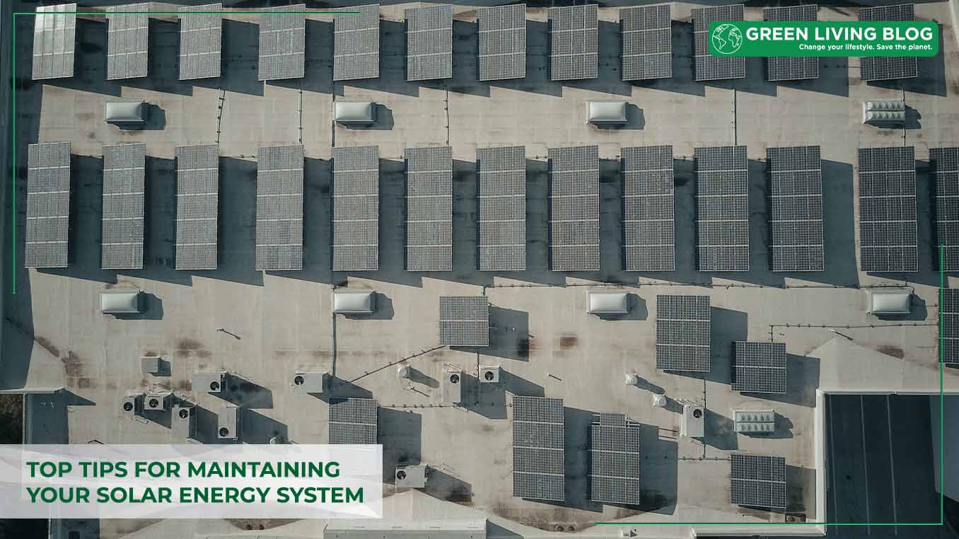 5 Top Tips for Maintaining Your Solar Energy System