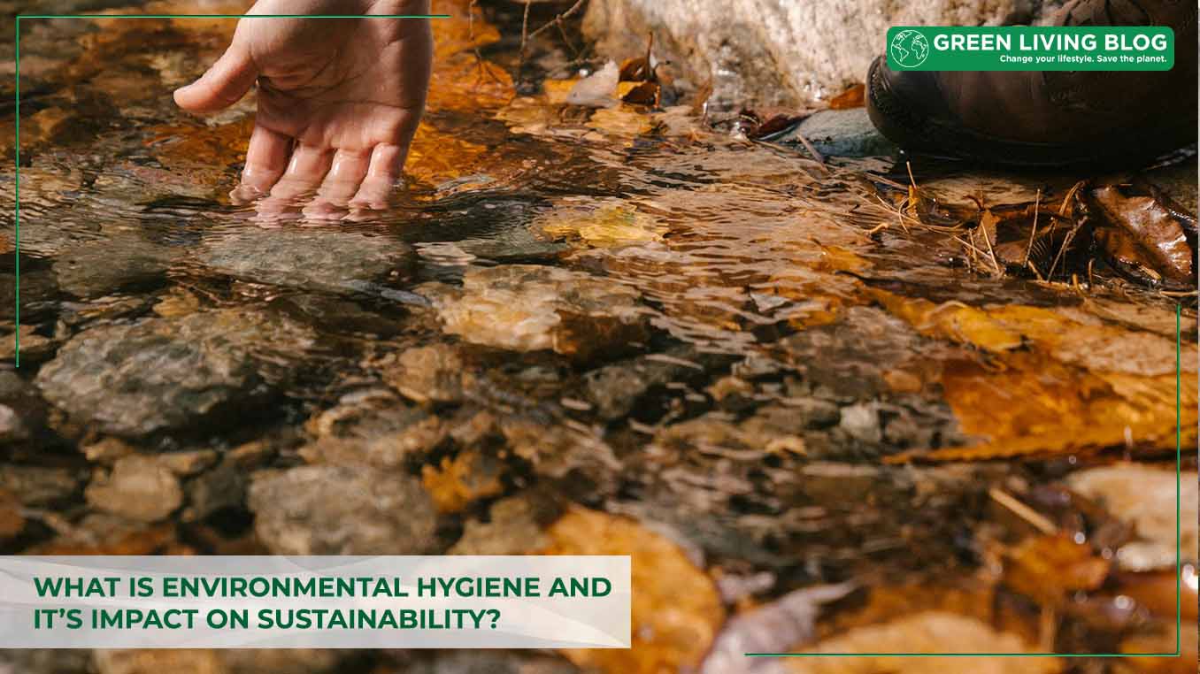 What is Environmental Hygiene & its Impact on Sustainability