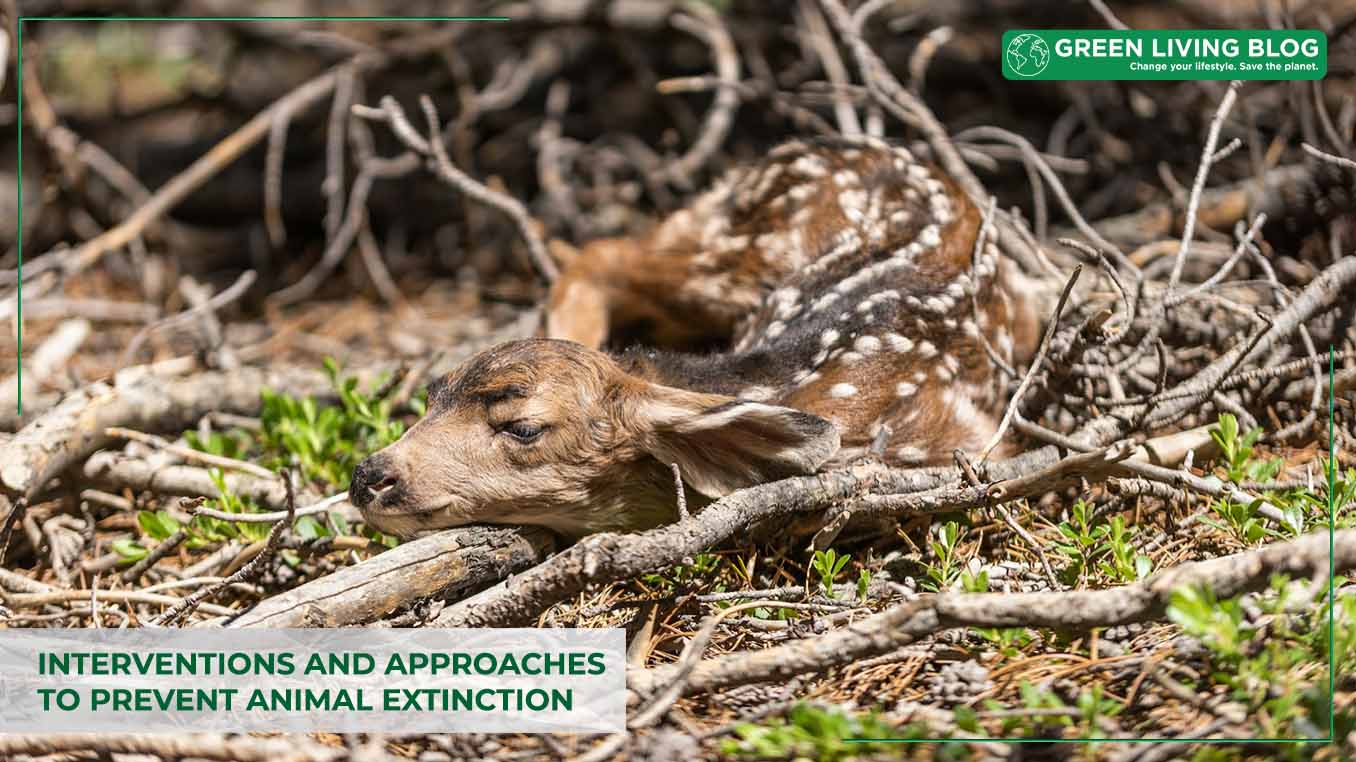 Green Living Blog | Top Eco & Sustainable Living Magazine UK