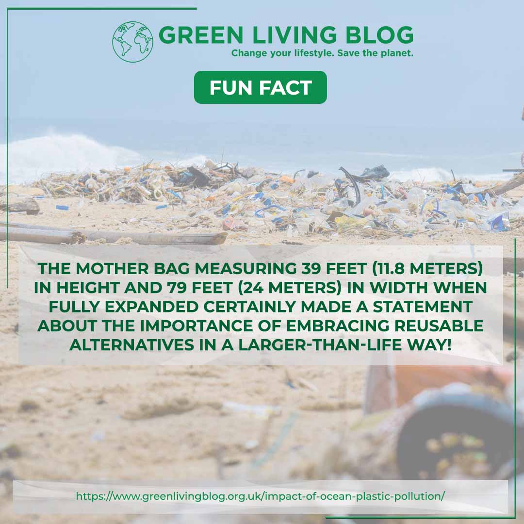 Impact Of Plastic Pollution On The Oceans & What We Can Do