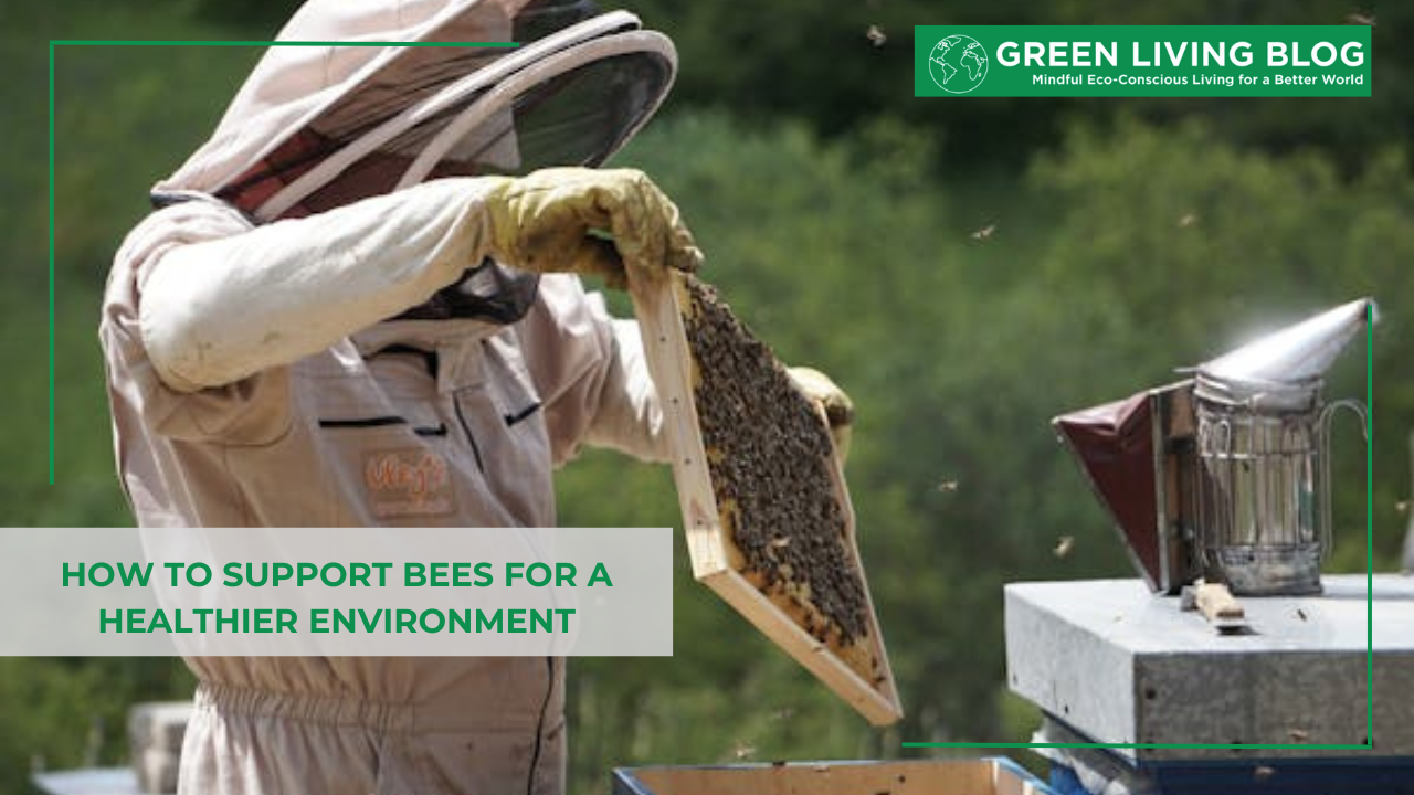 How To Support Bees For A Healthier Environment