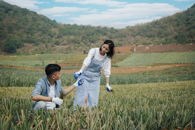 10 Techniques for Implementing Sustainable Farming Practices