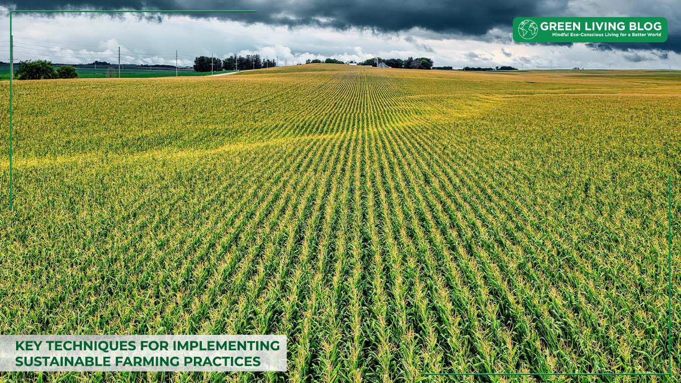 10 Techniques for Implementing Sustainable Farming Practices