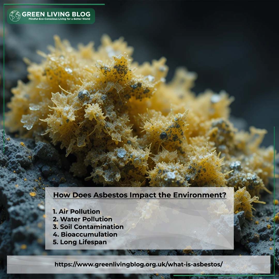 What is Asbestos and Who Does it Impact? | Green Living Blog